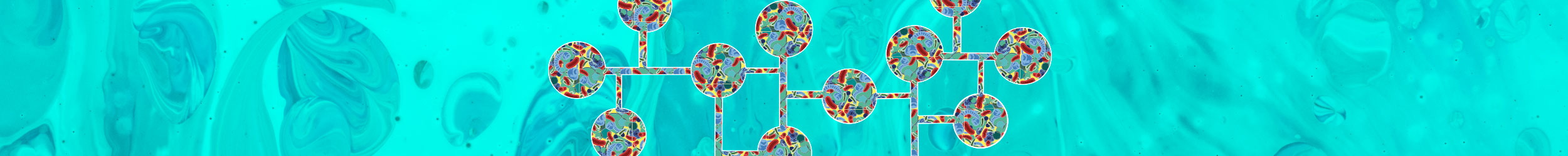 Holoflux metaprogramme - Challenges, Goals, Scientific Areas